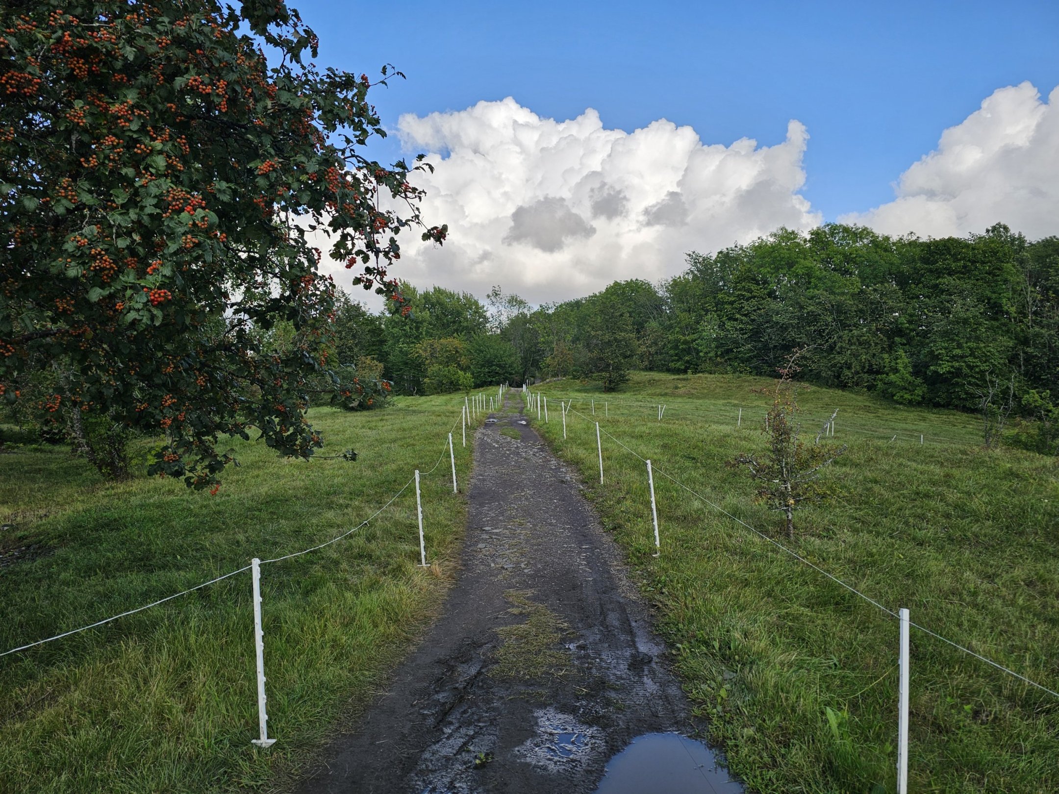 Hovedøya, Oslo - alles was Sie wissen müssen